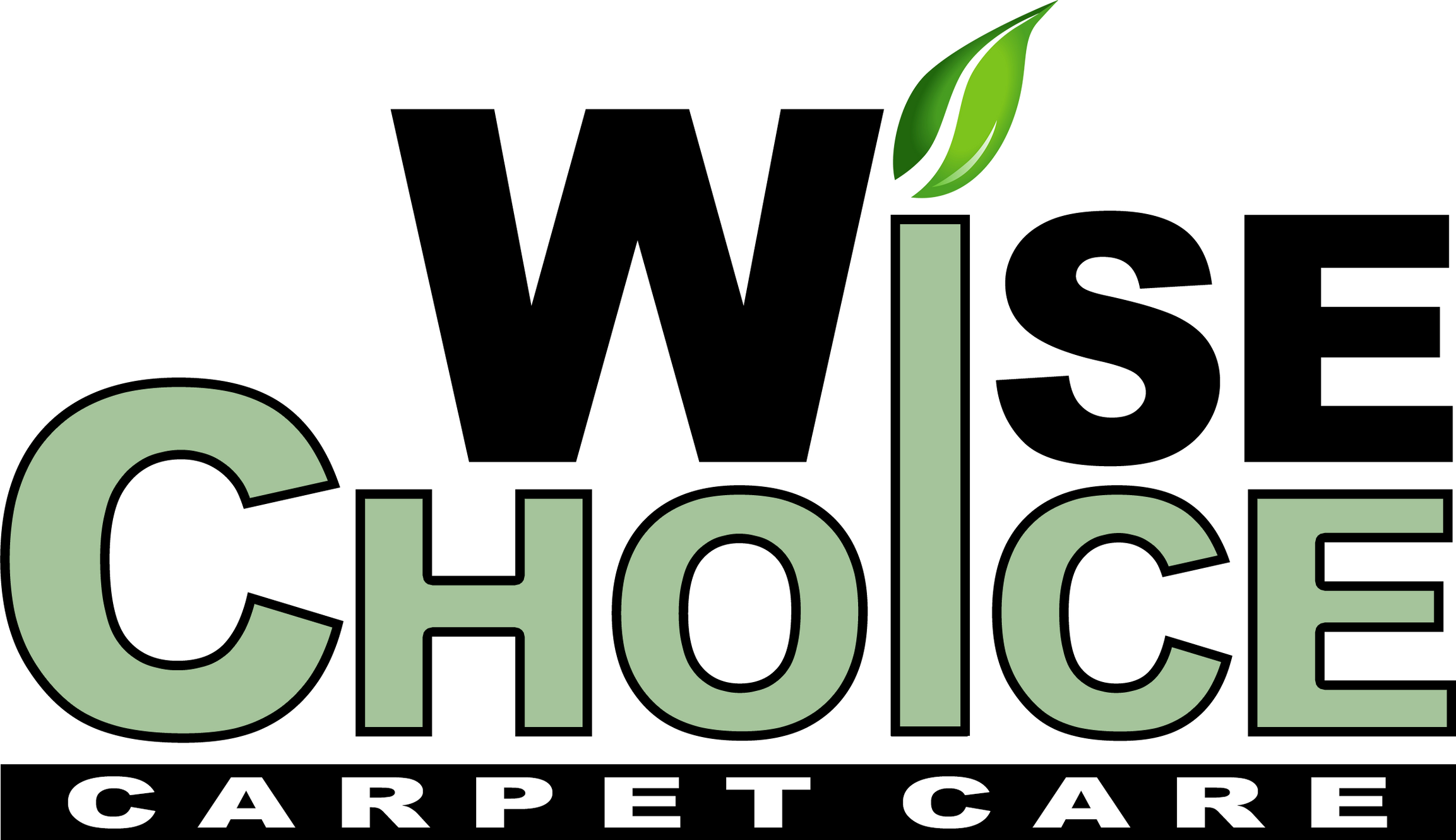 #1 Carpet Cleaning in the Front Range | One Hour Dry Time | Wise Choice ...
