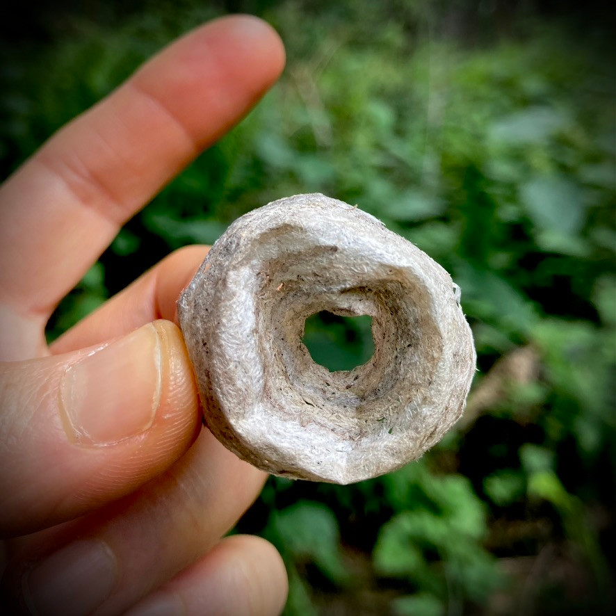 Orientation Tools for a Fresh Start