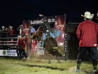 border bash rodeo