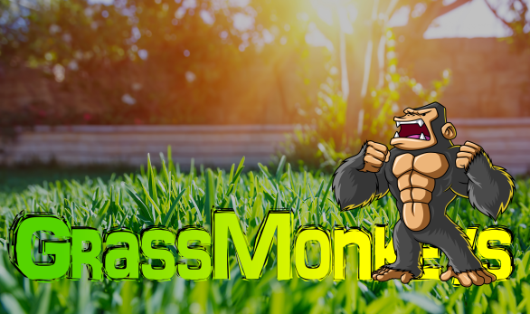 Services | Grass Monkeys
