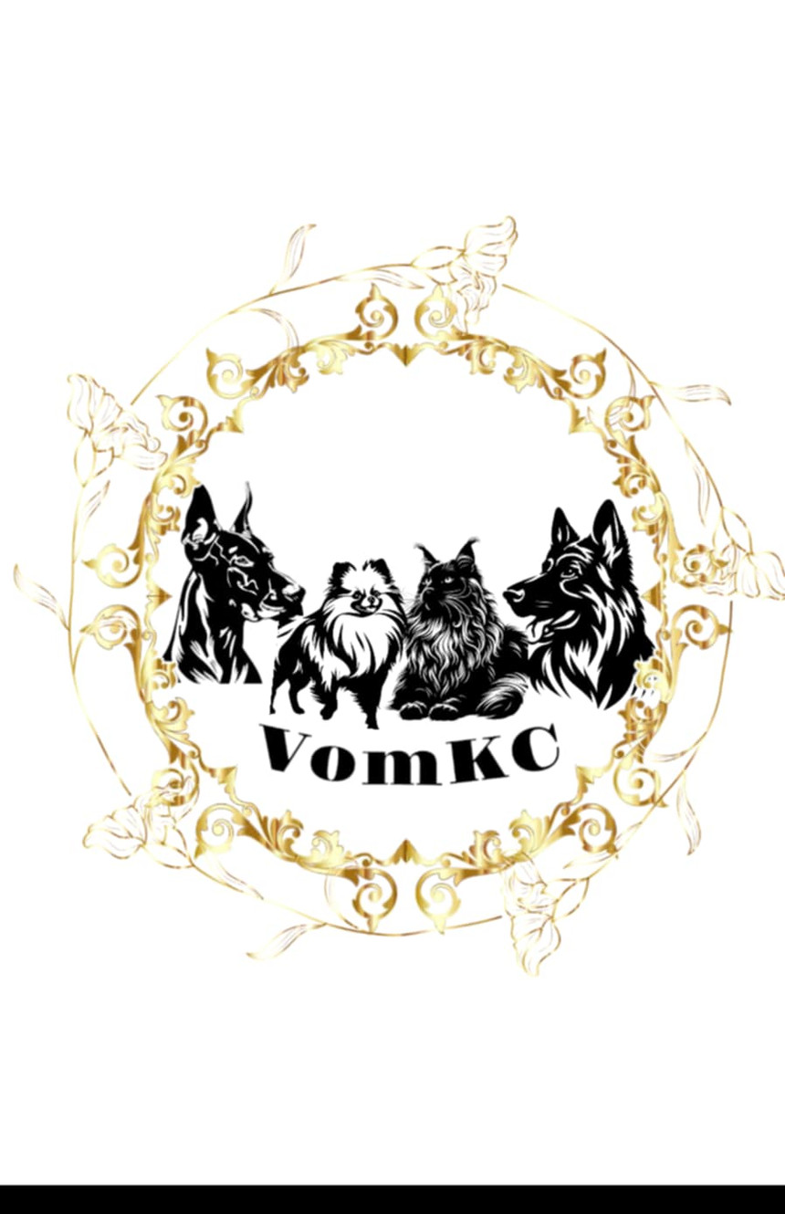 AVAILABLE PUPPIES | VOM KC Paws