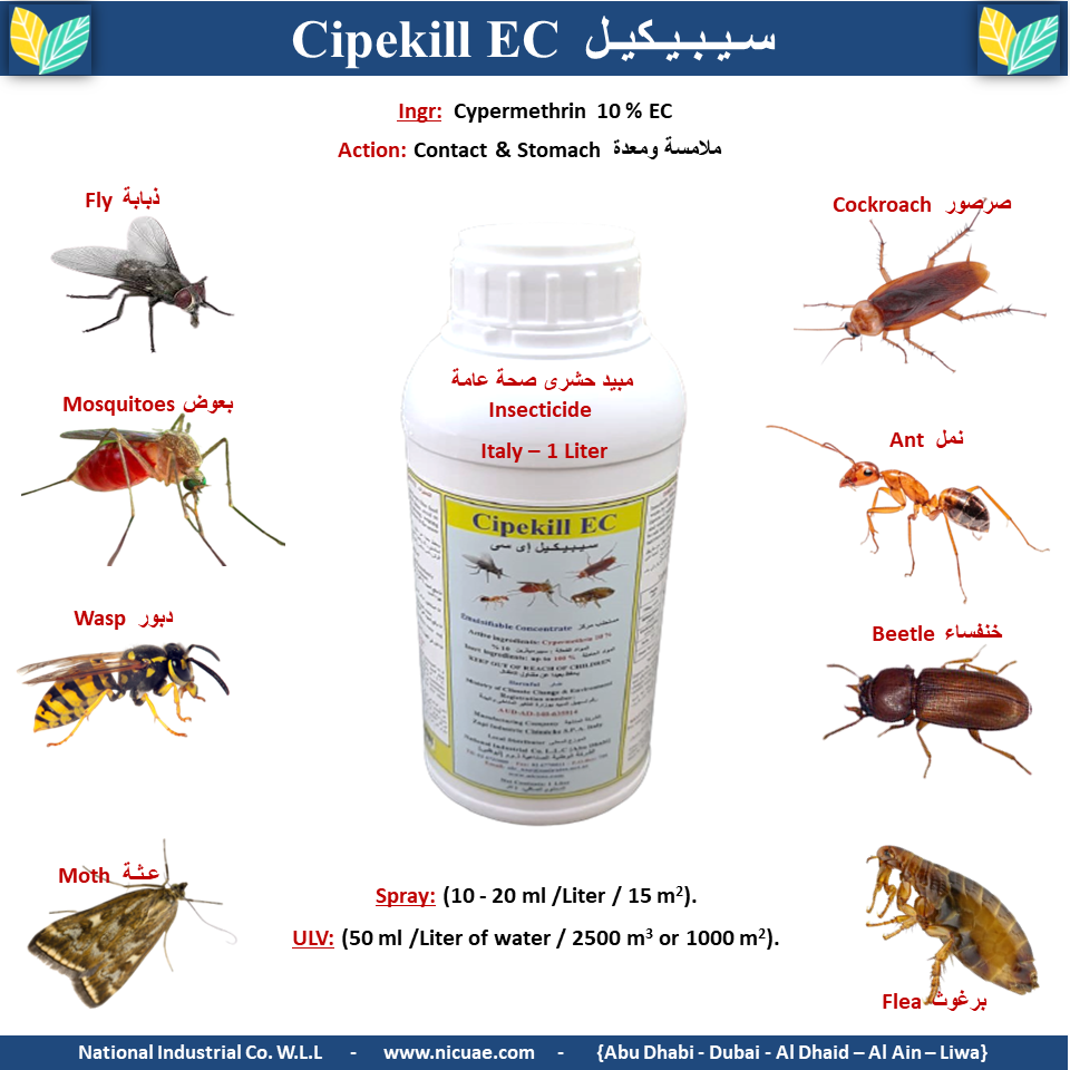 Public Health Insecticides