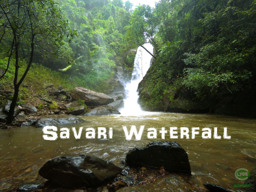 Independance day at Netravali Waterfall (Savari)