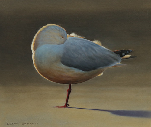 Silver Gull | Brett Jarrett + BOWG | bayofwhalesgallery.com.au ...