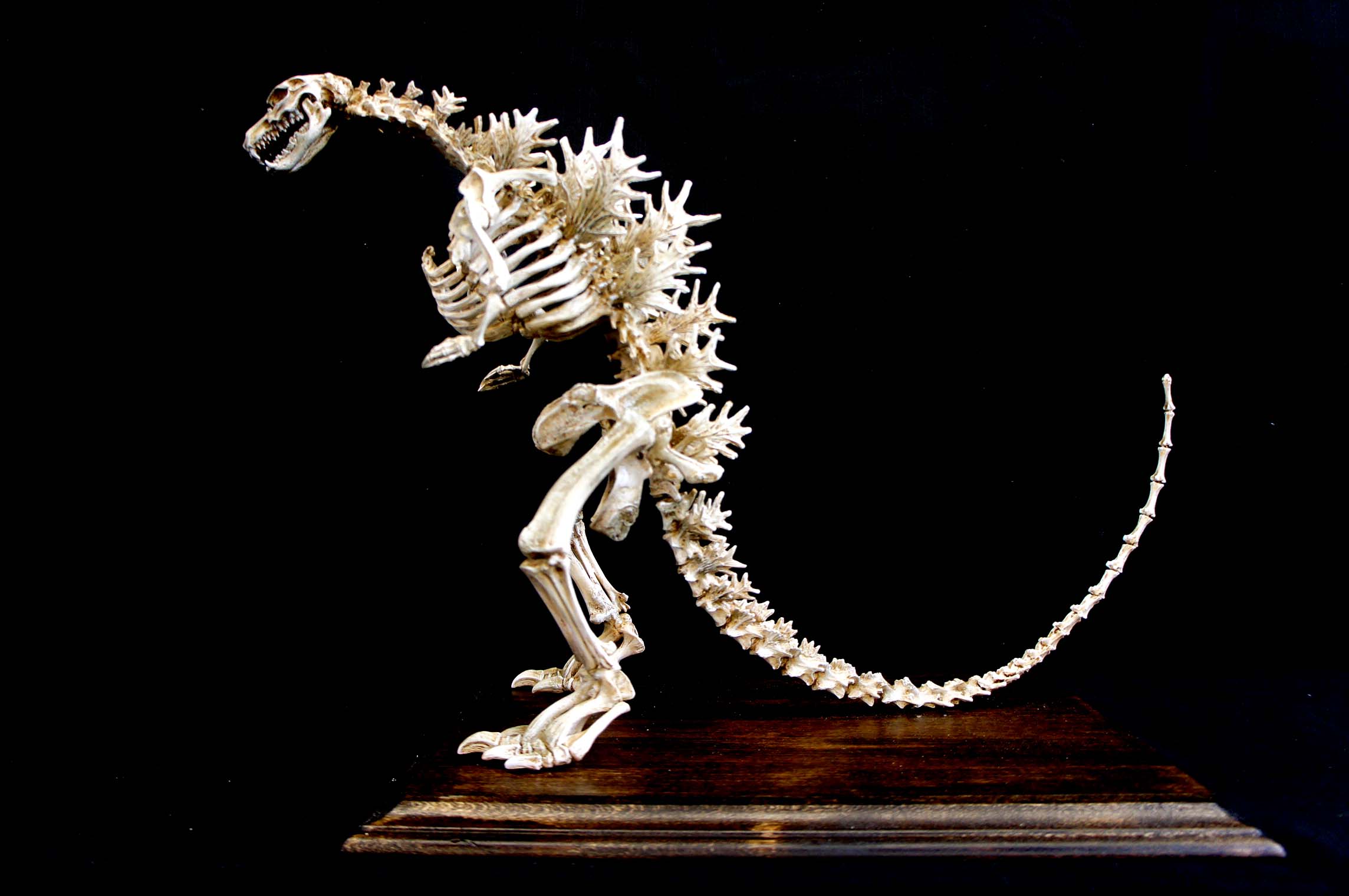 Godzilla Skeleton | solidart