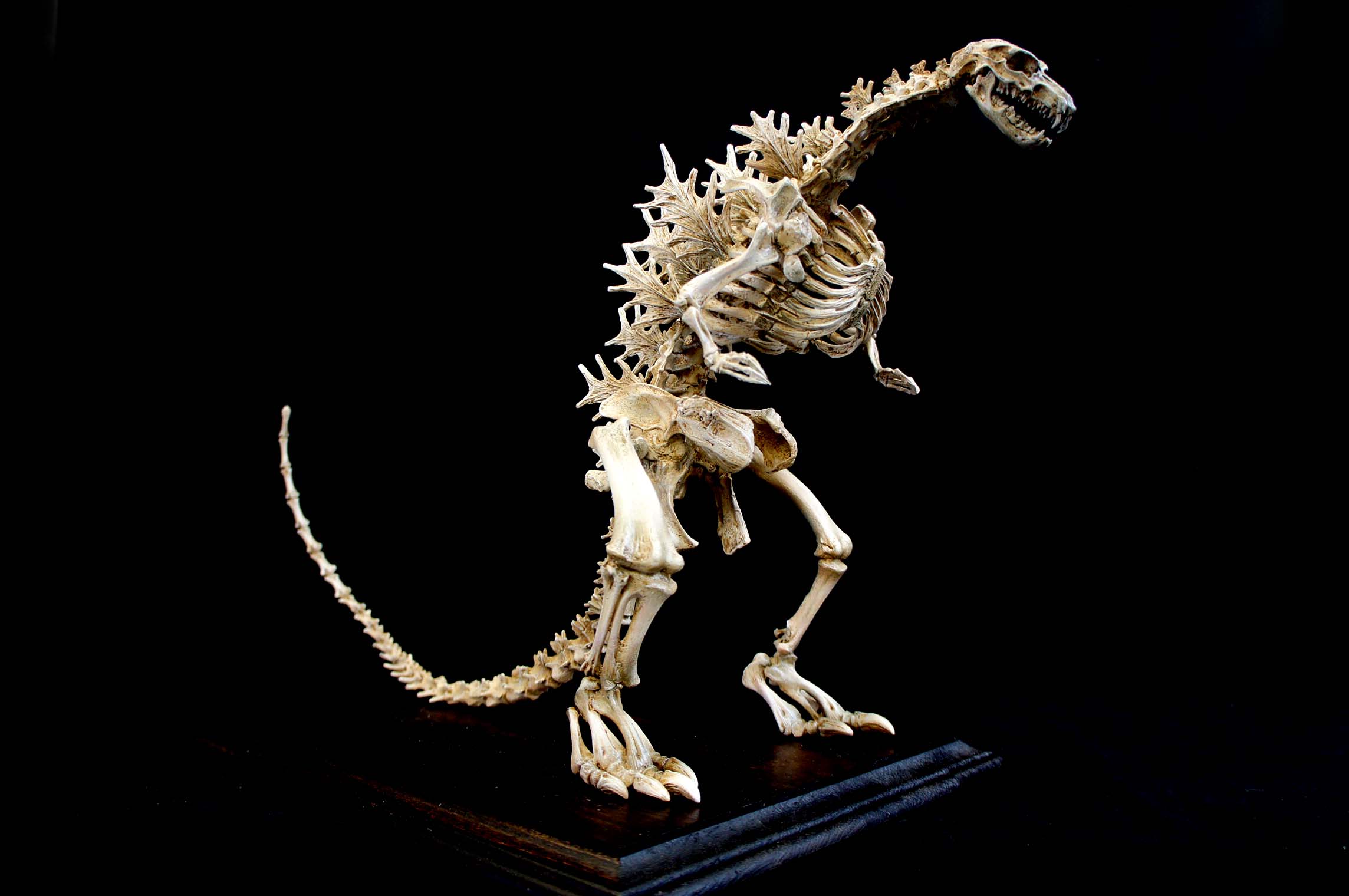 Godzilla Skeleton | solidart