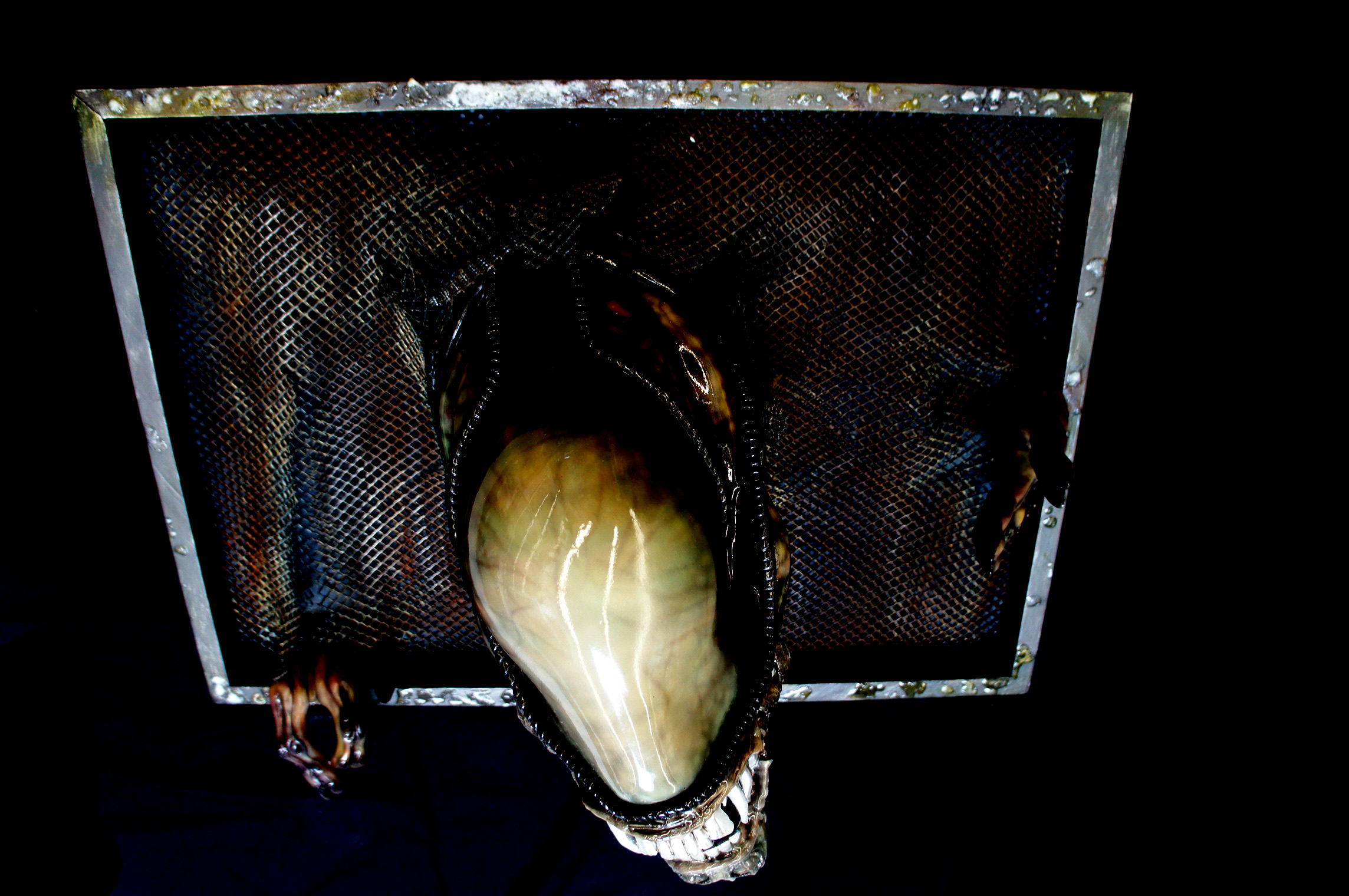 Alien Wall Hanger Aliens | solidart