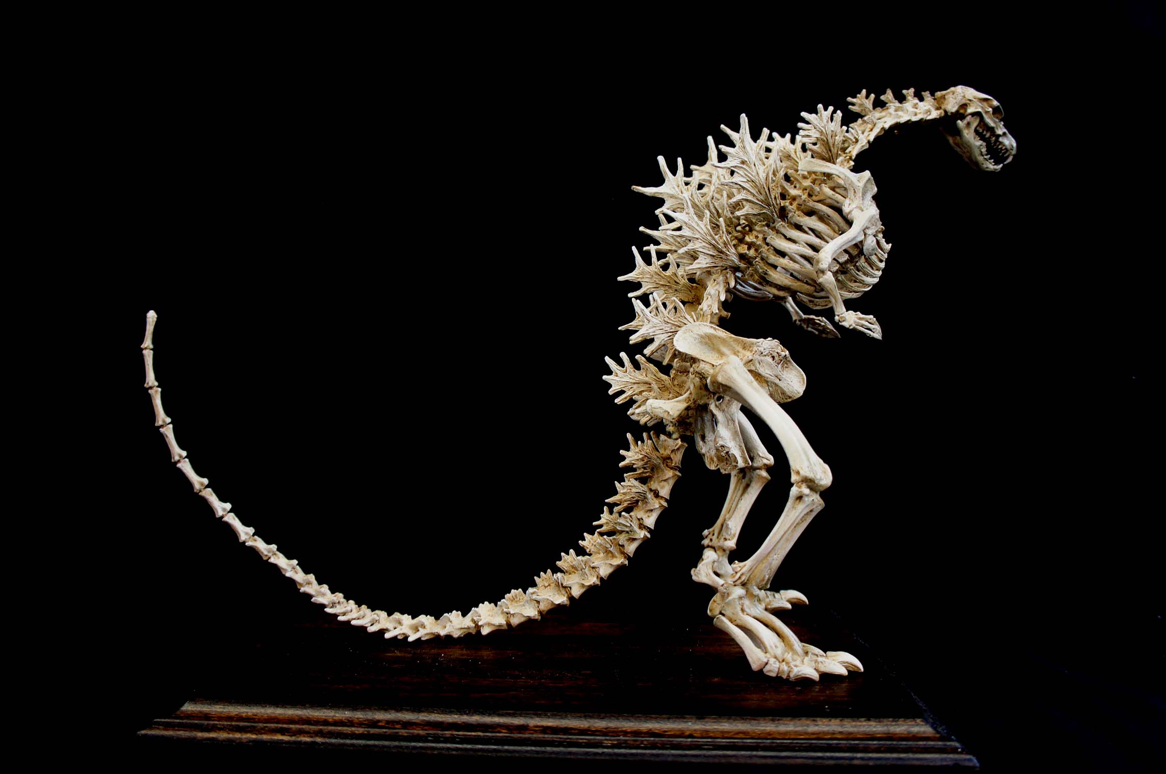 Godzilla Skeleton | solidart