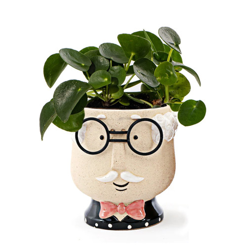 Grandpa Plant Pot - Face Shaped Planter | Garden Geeks UK