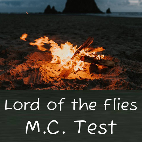 Lord of the Flies - Comprehensive Multiple Choice Test | King Alfred's ...