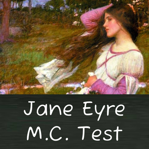 Jane Eyre - Comprehensive Multiple Choice Test in Word Doc or Google ...