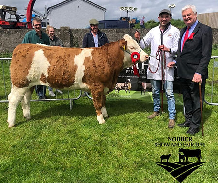 Nobber Show & Fair | Nobber Show | Nobber, County Meath, Ireland