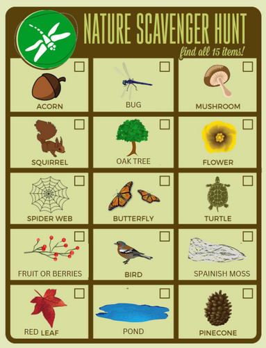 Florida Scavenger Hunt | Dragonfly Field Labs