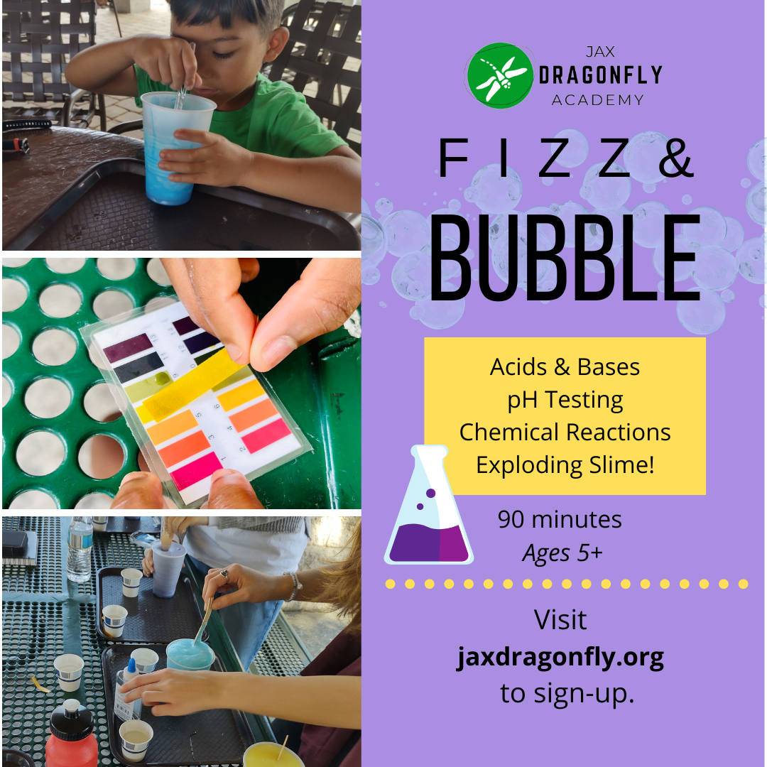 Fizz & Bubble | Future Leaders | Dragonfly Field Labs