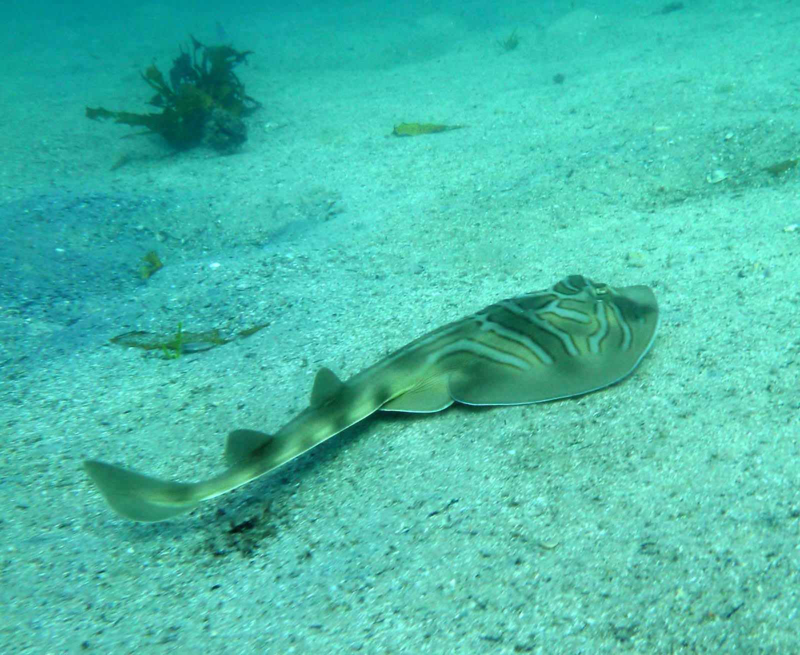 February 2024 Bulletin