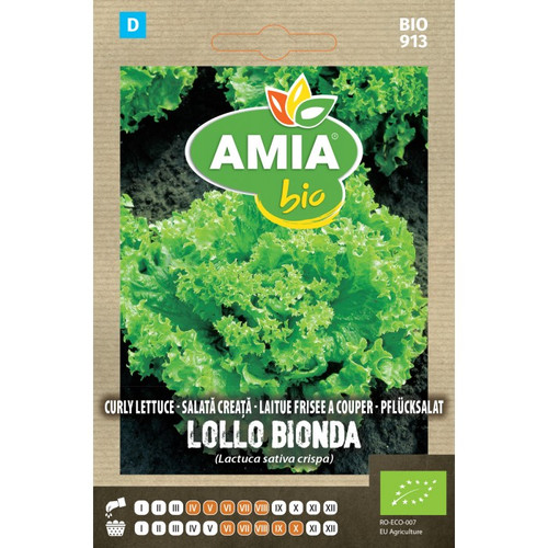 Seminte bio de salata creata Lollo Bionda Amia 1 gram | Agrohorticola