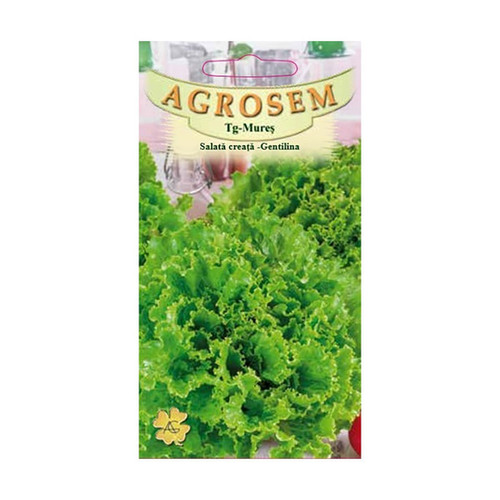 Seminte De Salata Creata - Gentilina, Agrosem 1.5 Gr | Agrohorticola