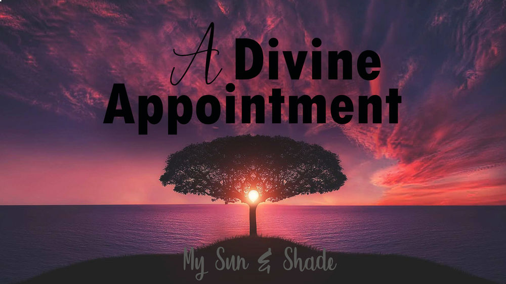 A Divine Appointment