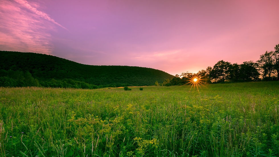 Therapy | Full Circle Wellness | United States