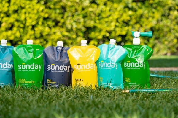 Weed Control/ Fertilization with Sunday | Wicked Good Lawn