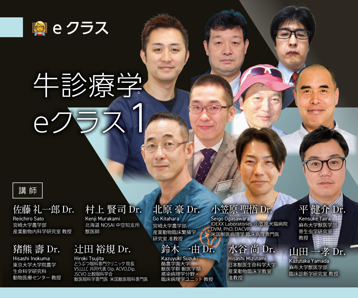 👩‍🏫 eクラス｜佐藤Dr./村上Dr.の牛診療学eクラス1 | VSJ