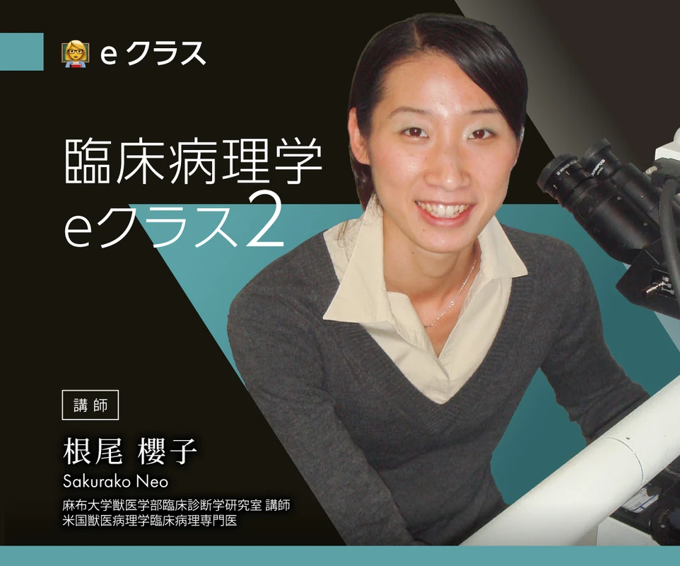 👩‍🏫 eクラス｜根尾Dr.の臨床病理学eクラス2 | VSJ CORE & ONE