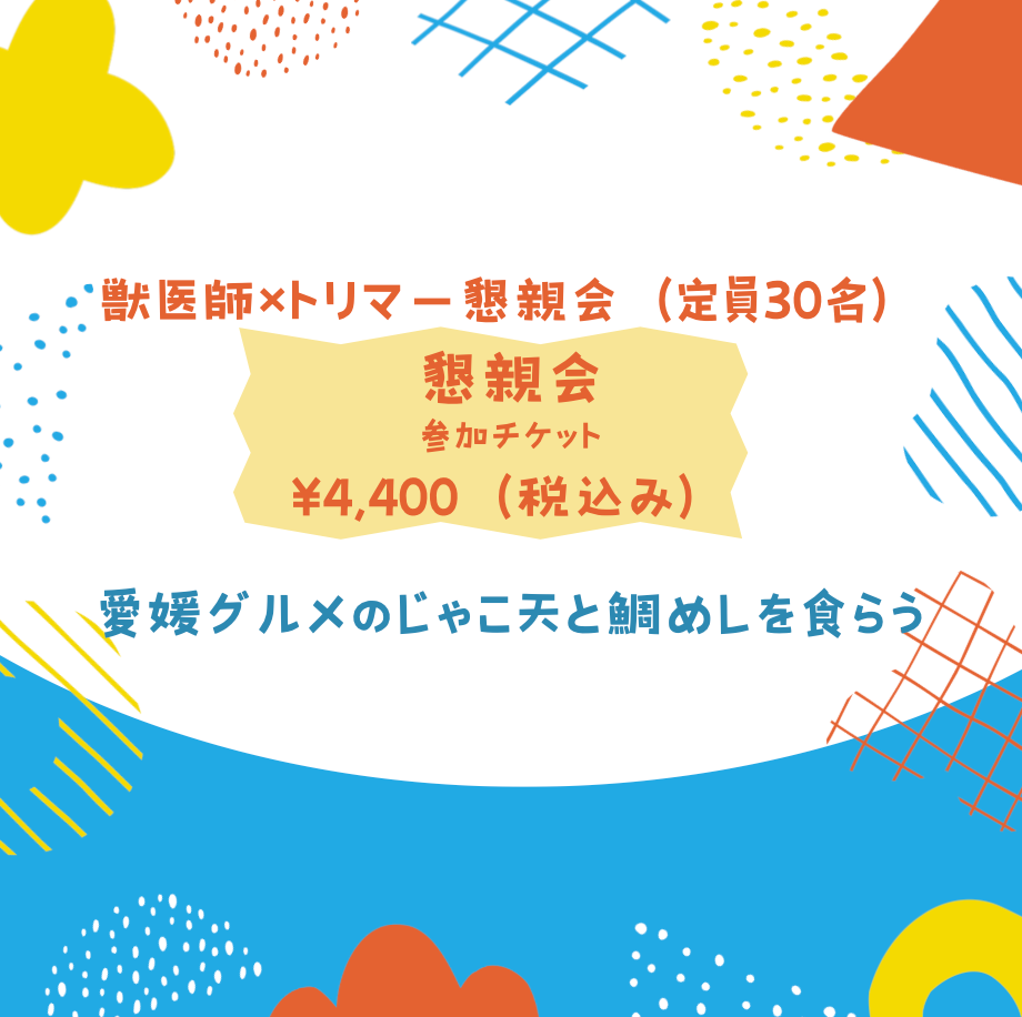 トリマー勉強会「愛媛にあつまれ！」｜懇親会チケット | VSJ CORE & ONE