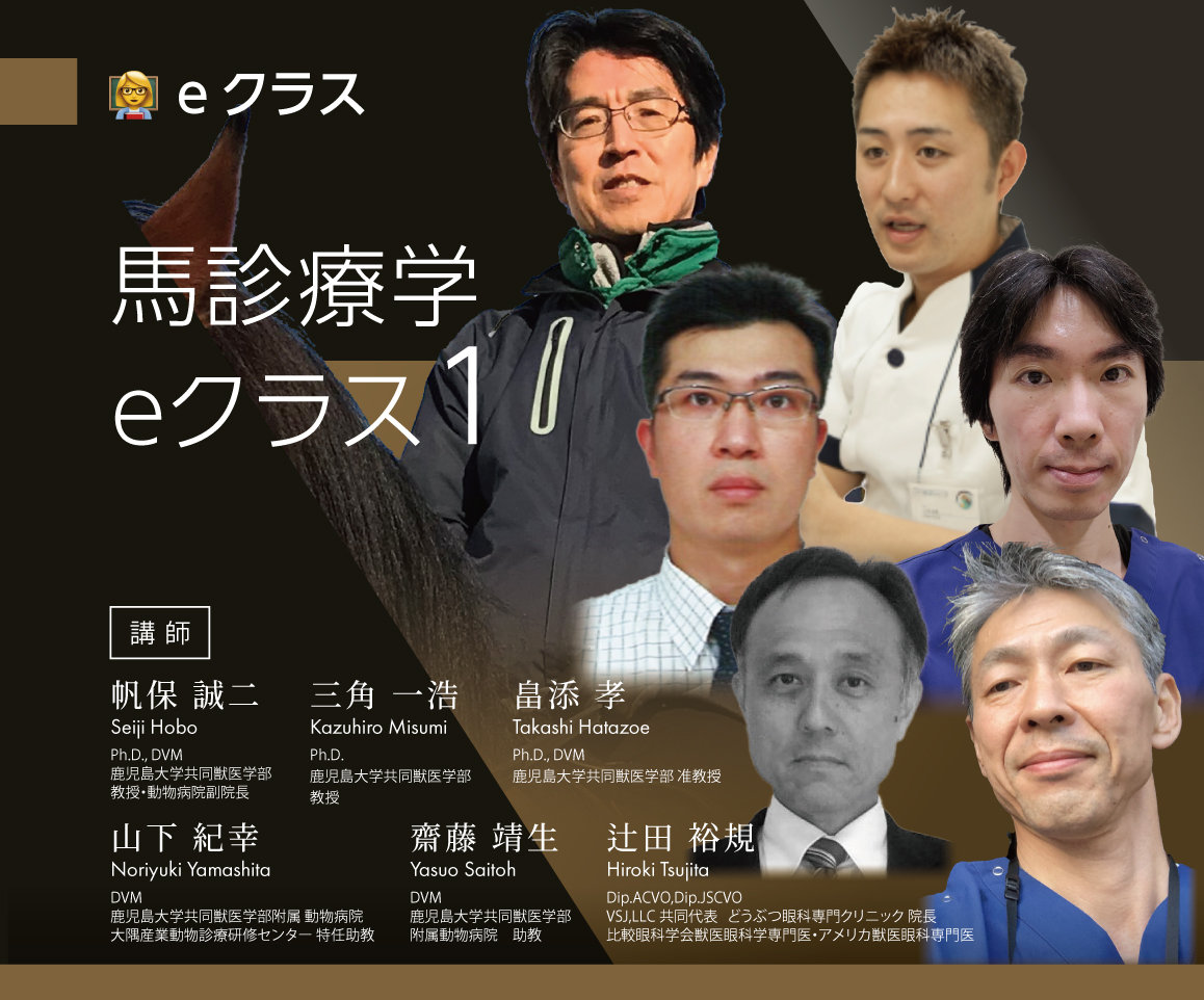 👩‍🏫 eクラス｜帆保Dr.の馬診療学eクラス1 | VSJ