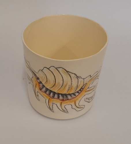 Conch Shell Pot (10cm x 10cm) | lucycreations