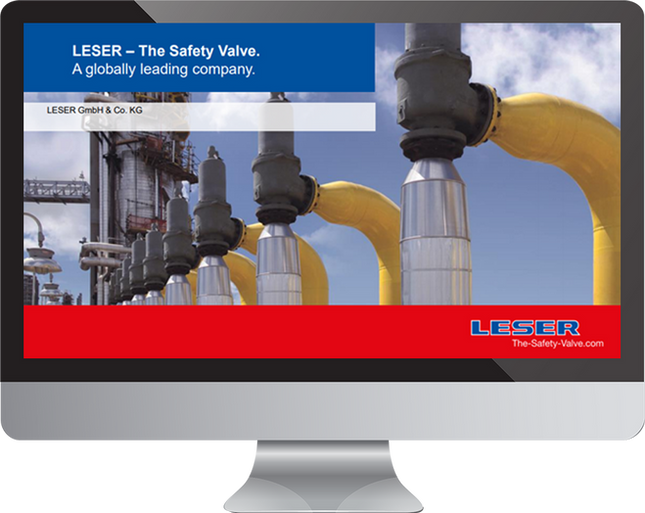 COMPANY INFORMATION | LESER UK