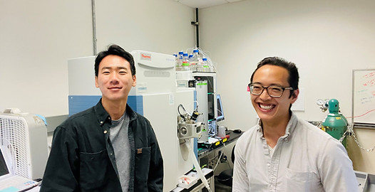 Company | Dalton Bioanalytics