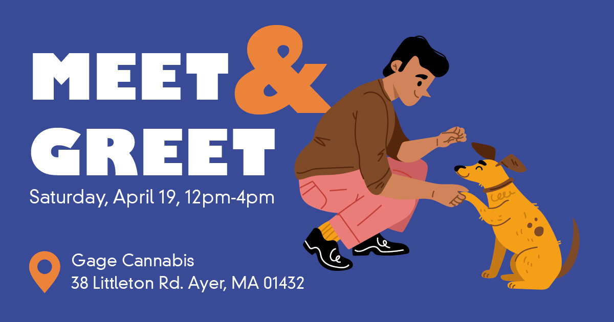 Meet and Greet - Ayer, MA | Ruff Tales Rescue