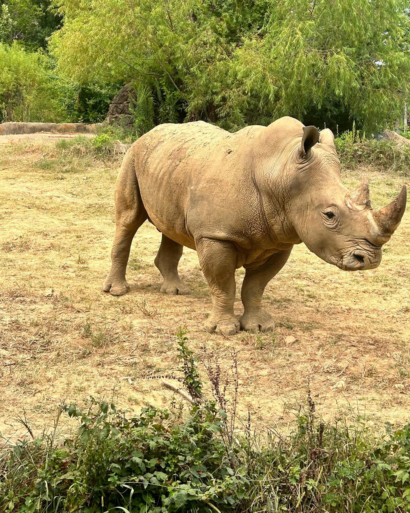 School Field Trips | Jackson Zoo