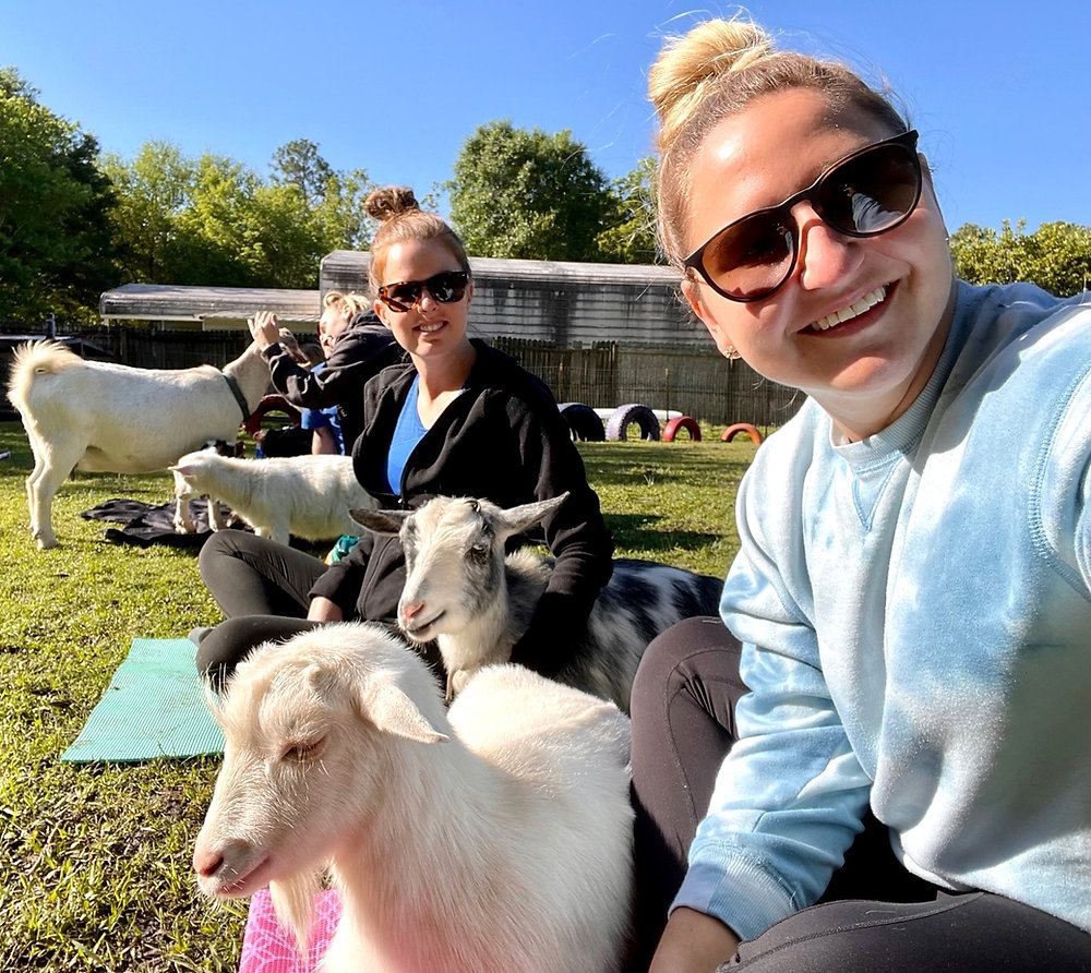 Goat Yoga in Jacksonville, FL