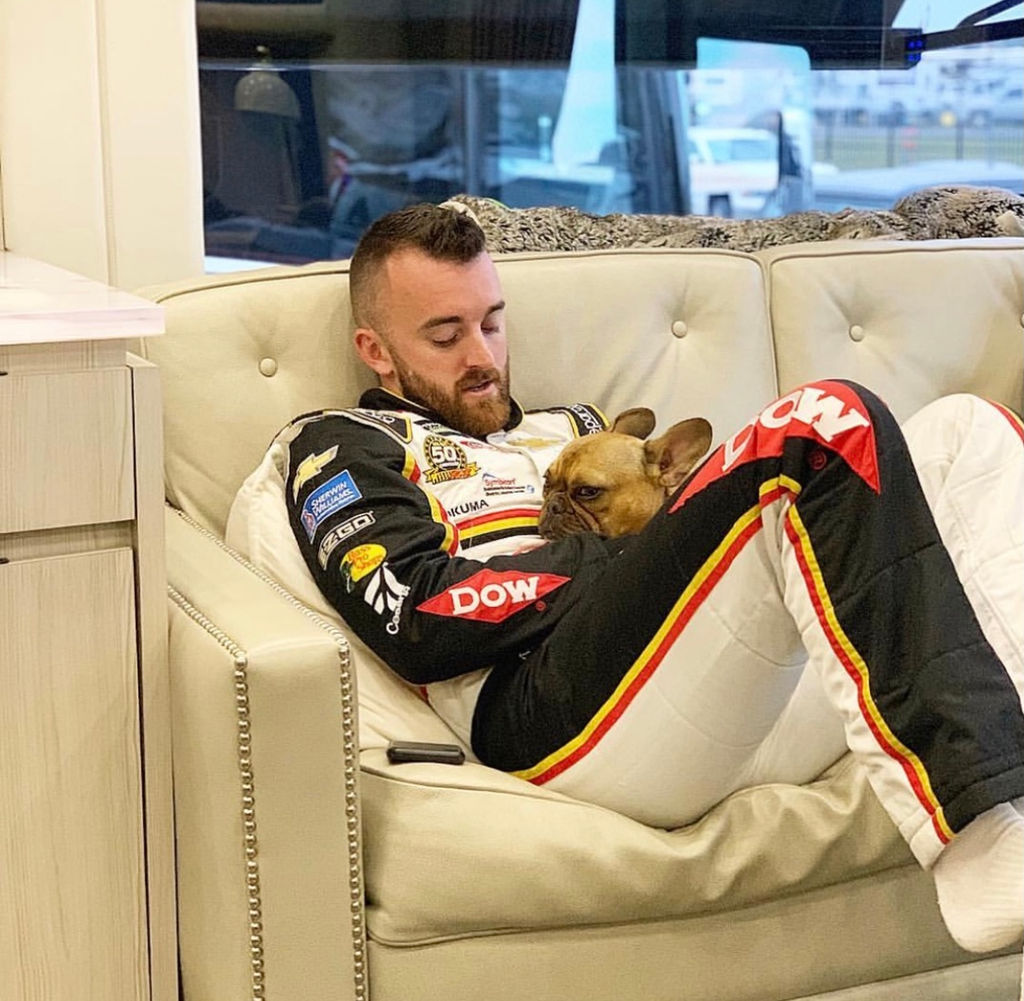 Frenchie Doodle | Frenchie Doodle Puppies