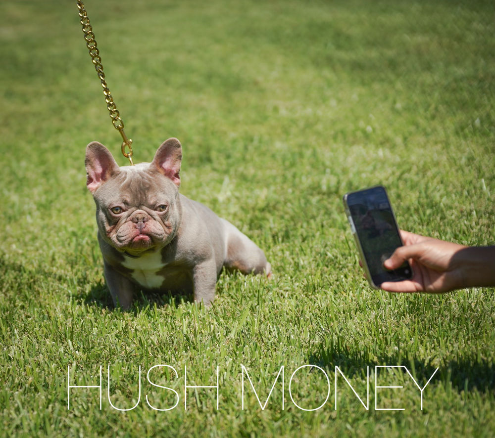 What is an Isabella Lilac French Bulldog?