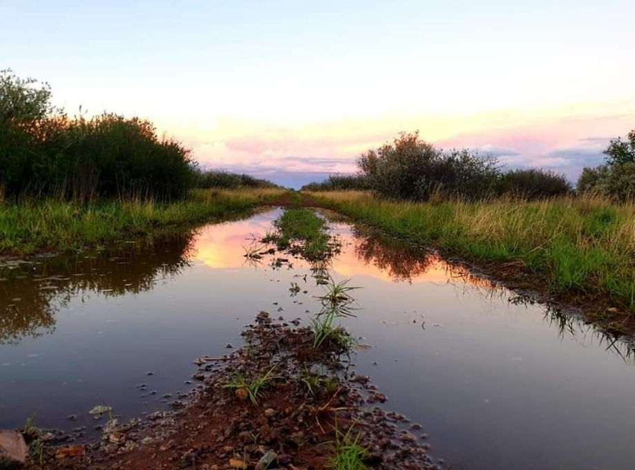 Getting Here | Bonza Game Farm