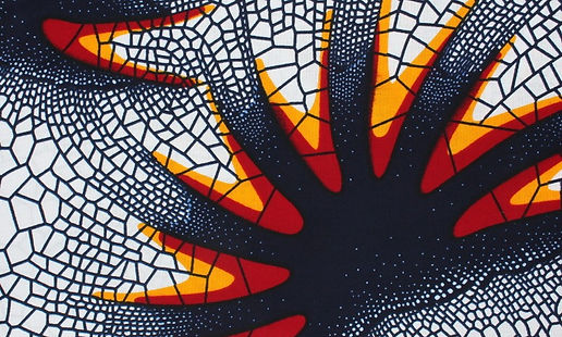 Explosion de wax | Manuela Nicolo