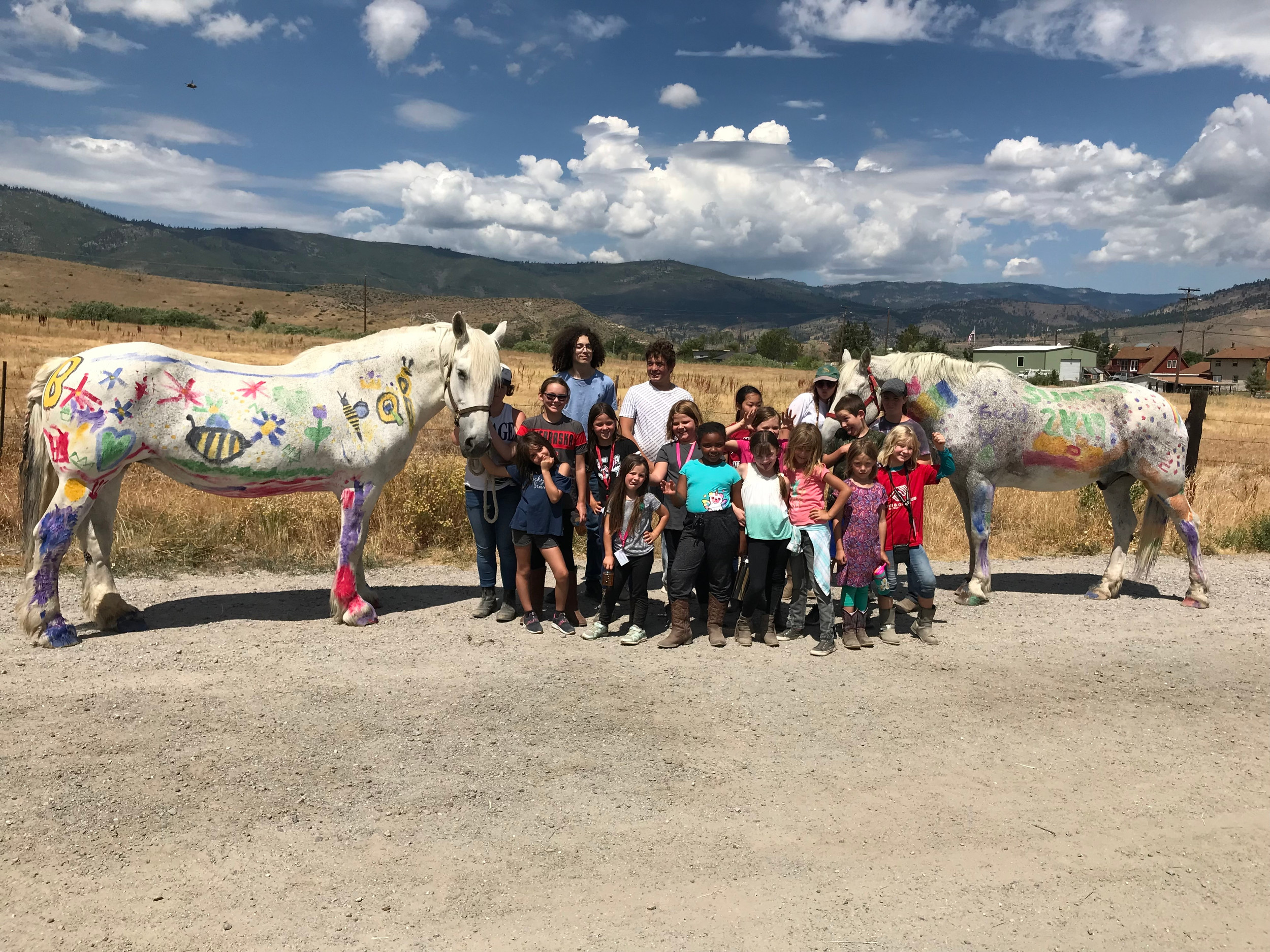 Events | Reno Rescue