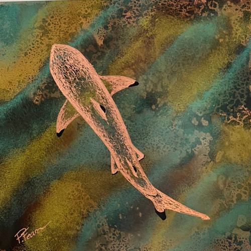BLACKTIP REEF SHARK | Circus Gallery Ltd