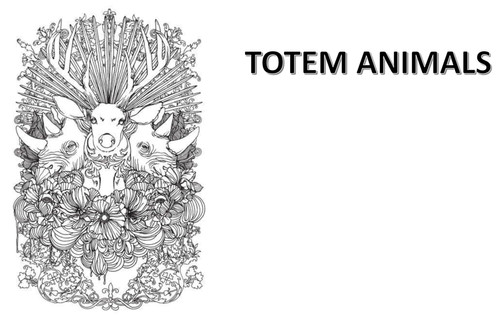 Totem Animal Coloring& Information Book | Emojar