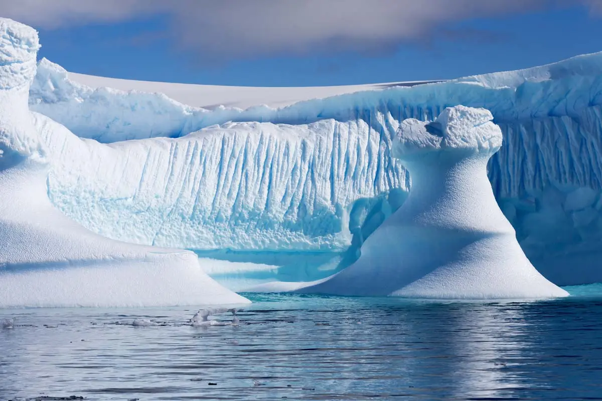 Antarctica and Arctic Expedition Specials | Polar Dream Travel