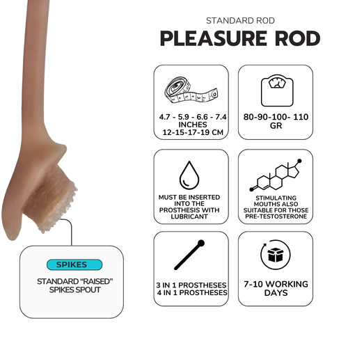 Asta Pleasure | Pymander | FTM packer erection rod