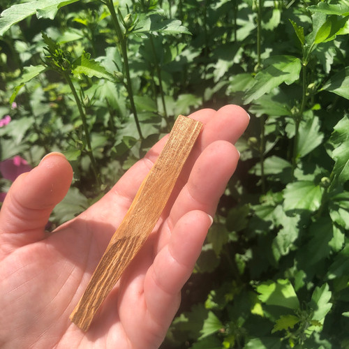 Palo Santo | The Serendipity Place