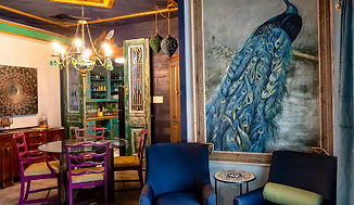 Queen Gypsy Inn | Boutique Hotel | Thematic Suites | Galveston, Texas