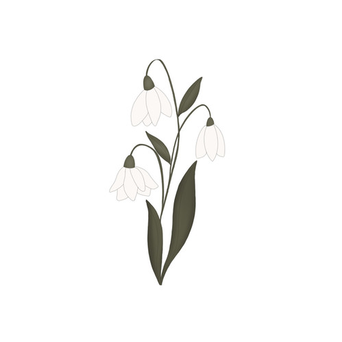 STL Tall Snowdrop Stem -5" | Wildflour Bakery