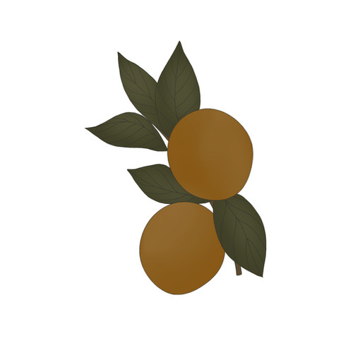 STL Fruit Branch - 4.5" | Wildflour Bakery