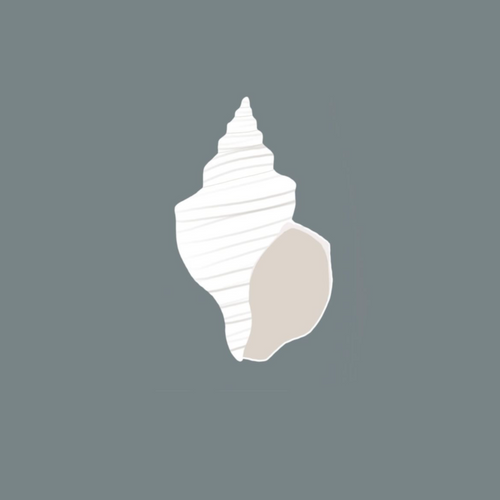 STL Conch Shell-4" | Wildflour Bakery