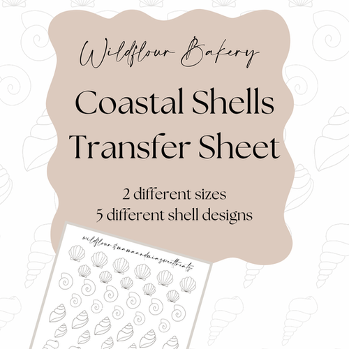 Coastal Shells Transfer Sheet | Wildflour Bakery