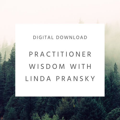 Practitioner Wisdom with Linda Pransky | Pransky & Associates